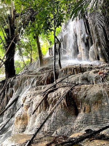 Treks and Excursions - Phanom Bencha Mountain Resort – Nature, Wildlife ...